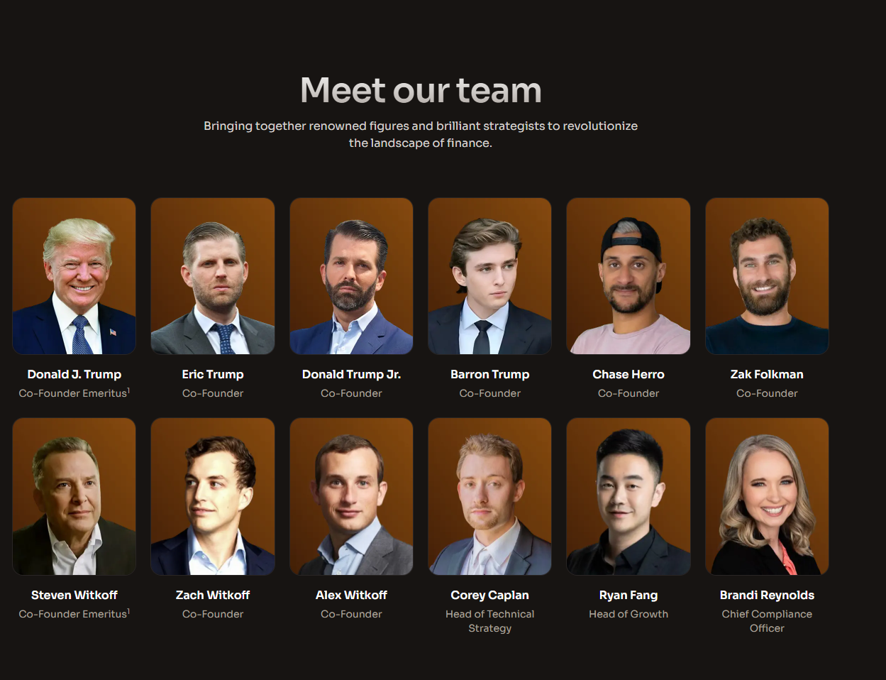 A Breakdown of WLFI's Business, Background, Tokenomics, and Valuation Outlook - Mint Ventures